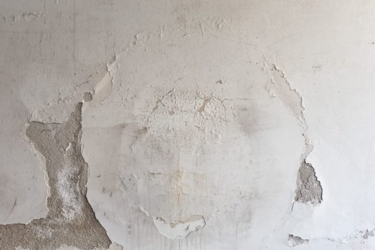 Moisture In Walls: What It Means And What to Do - SMR Builders